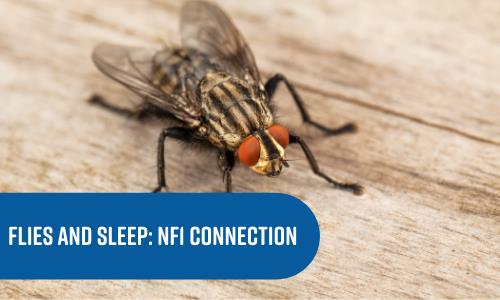 News - NF1 Sleep Study - Fly Connection - Children's Tumour Foundation ...